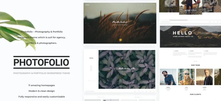 16+ Best Photography WordPress Themes 2021